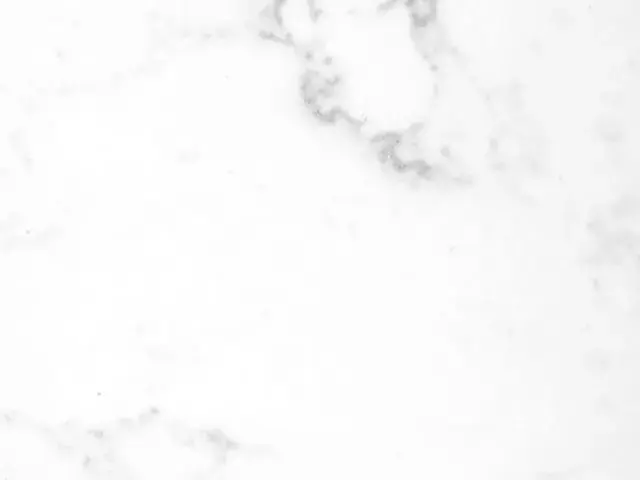 Quartz Countertops in Richmond, VA | Durable, Stylish, and Affordable